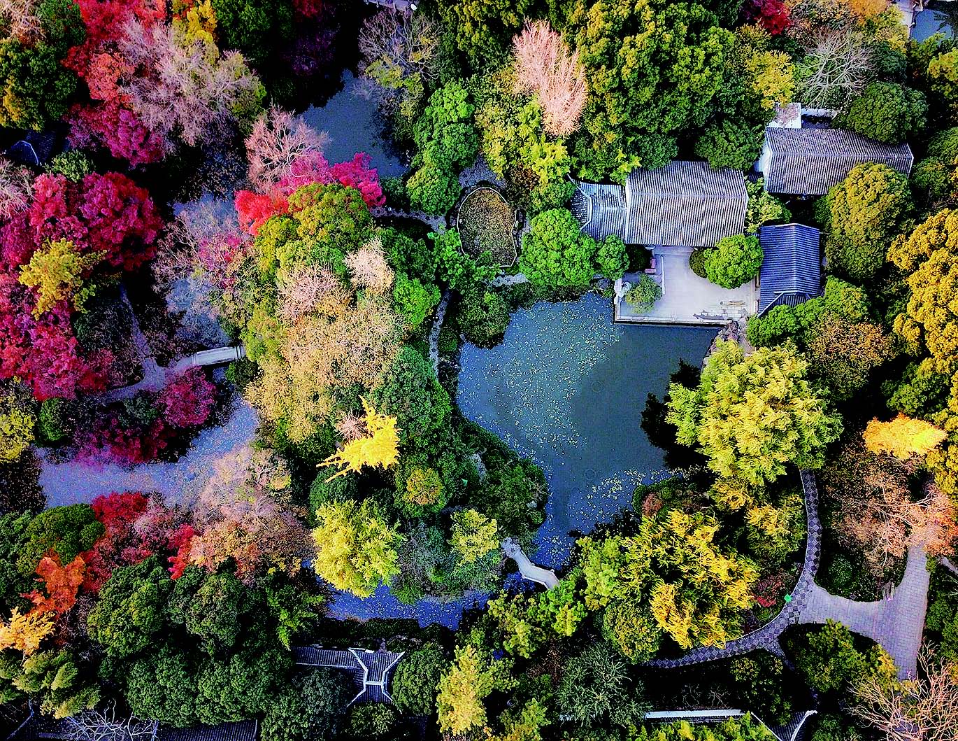 拨云透雾话“秋霞”--嘉定报