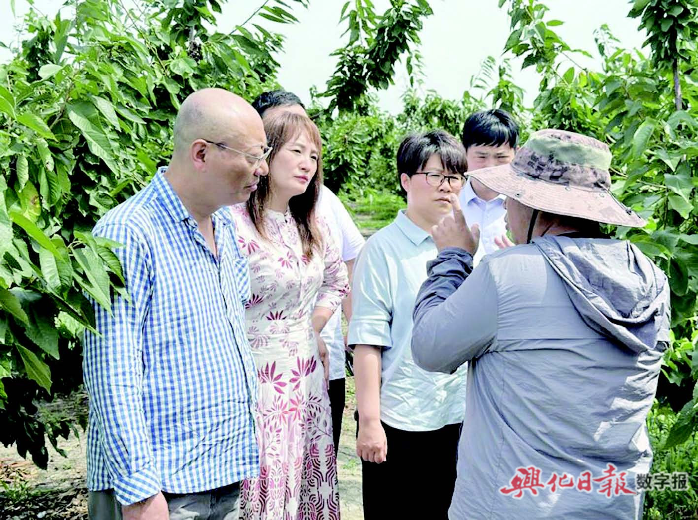 开展乡村振兴基地产学研活动--兴化日报